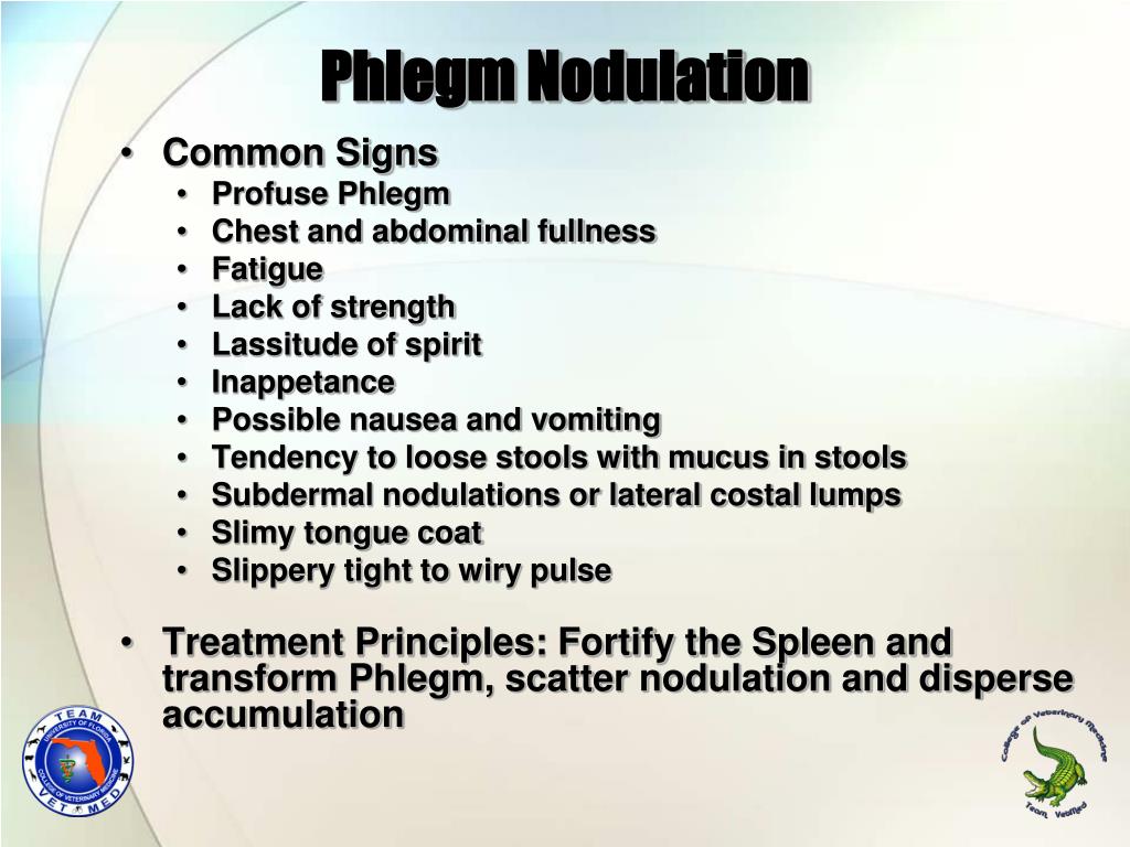 PPT - How to Treat Liver Disease with TCVM Food Therapy PowerPoint ...