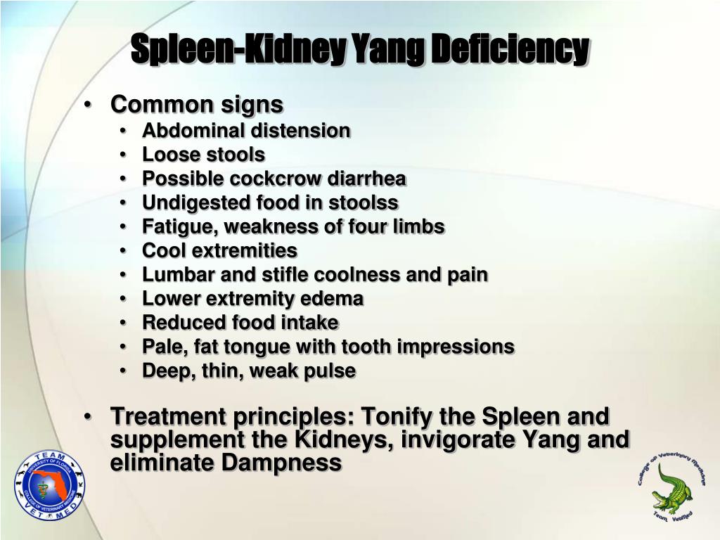 PPT - How to Treat Liver Disease with TCVM Food Therapy PowerPoint ...