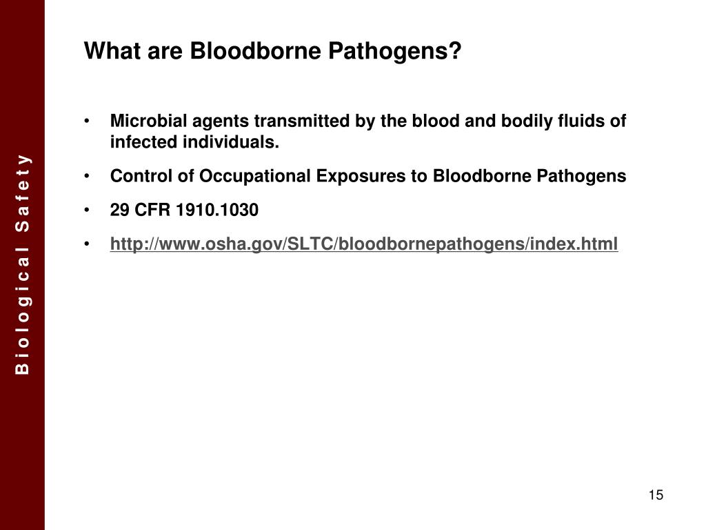 PPT - Biological Safety: Safety for people, animals, plants PowerPoint ...