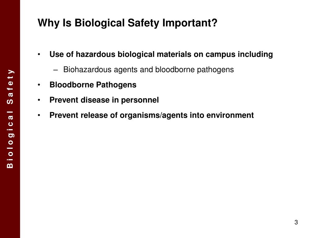 PPT - Biological Safety: Safety for people, animals, plants PowerPoint ...