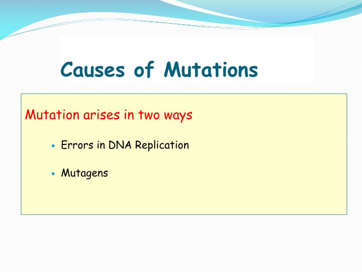 PPT - Mutations General Genetics PowerPoint Presentation - ID:1821876