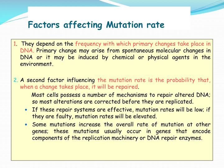 PPT - Mutations General Genetics PowerPoint Presentation - ID:1821876