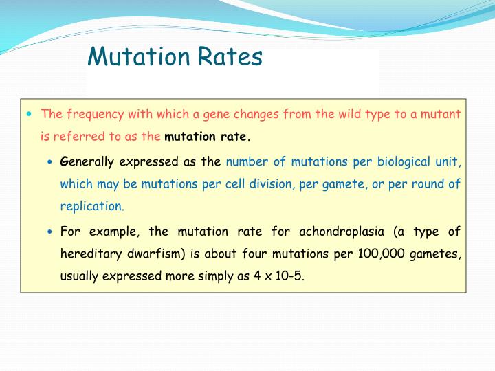 PPT - Mutations General Genetics PowerPoint Presentation - ID:1821876
