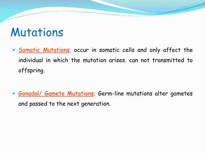 PPT - Mutations General Genetics PowerPoint Presentation - ID:1821876