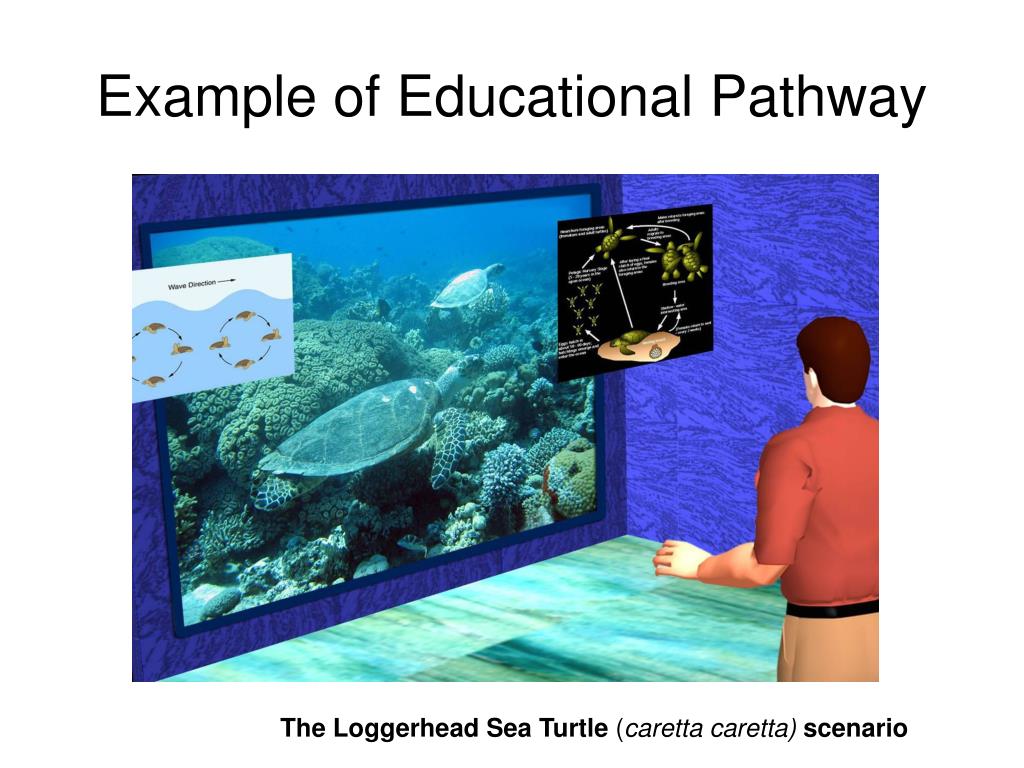 PPT - Natural Europe Educational Pathways PowerPoint Presentation, free ...