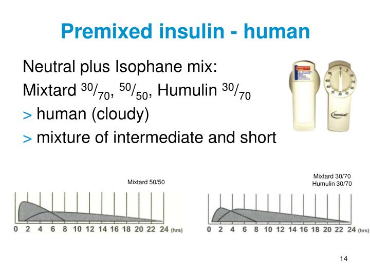 PPT - Insulin PowerPoint Presentation - ID:1822648