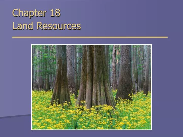 PPT - Chapter 18 Land Resources PowerPoint Presentation, free download ...
