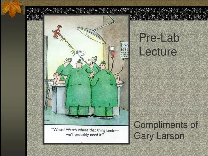 PPT - Compliments of Gary Larson PowerPoint Presentation, free download ...