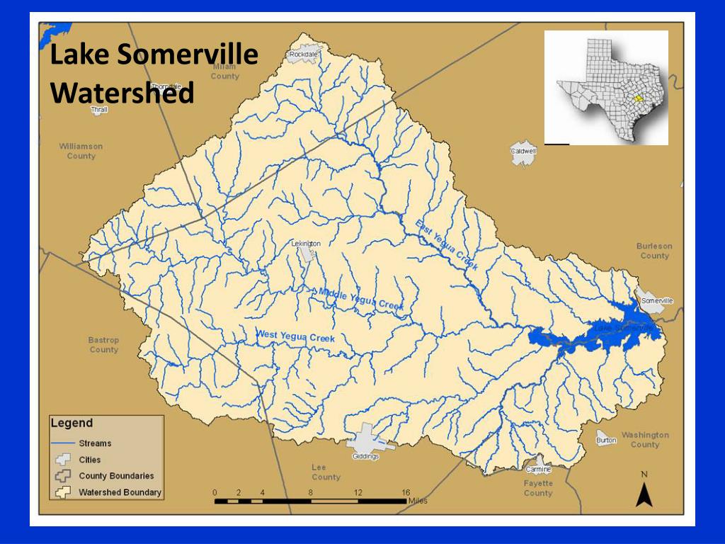 PPT - Characterization of Lake Somerville Water Quality PowerPoint ...