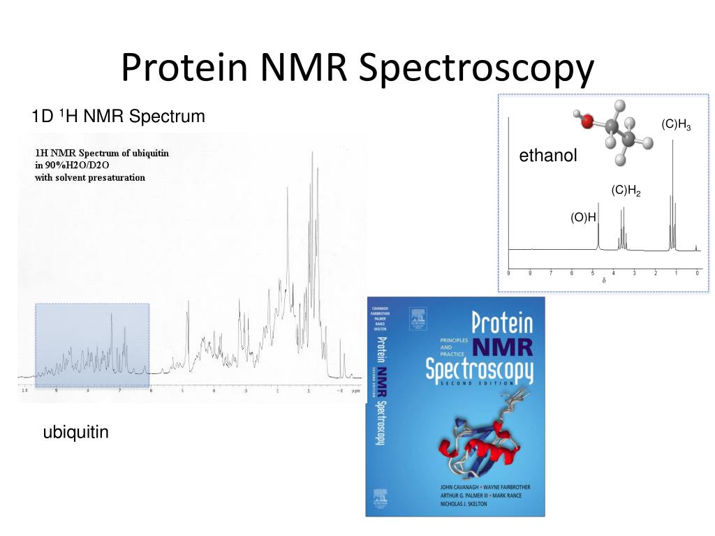 Nmr Spectroscopy Protein Structure at Kate Read blog Nmr Spectroscopy Protein Structure at Kate Read blog