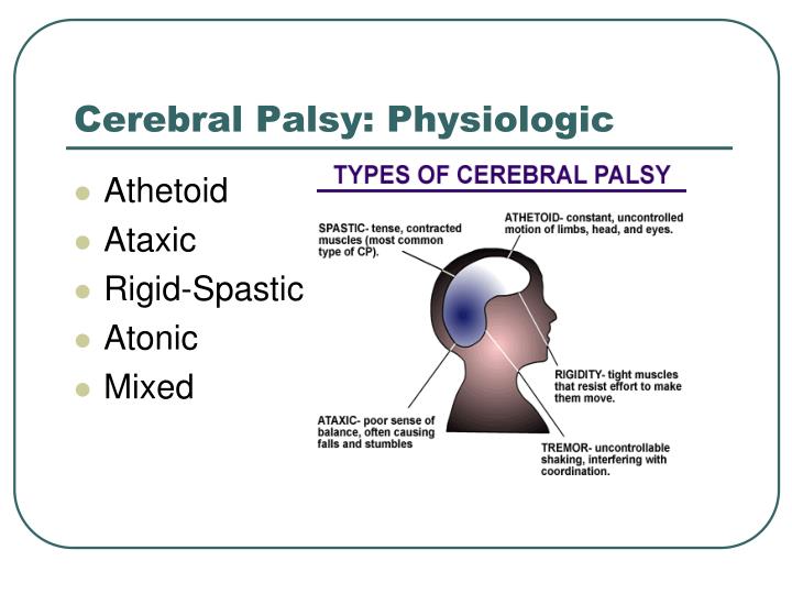 PPT - Cerebral Palsy = Brain Paralysis PowerPoint Presentation - ID:1824169