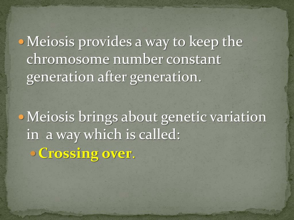 PPT - Meiosis and Sexual Reproduction PowerPoint Presentation, free ...