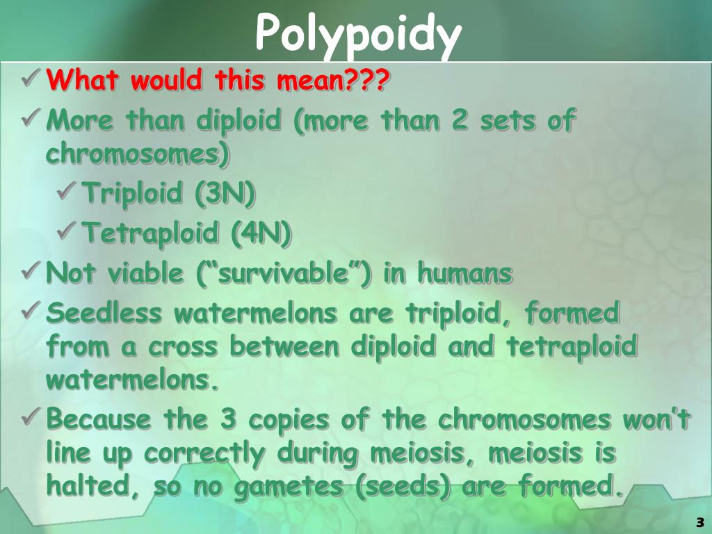 PPT - Meiosis Formation of Gametes (Eggs & Sperm) PowerPoint ...