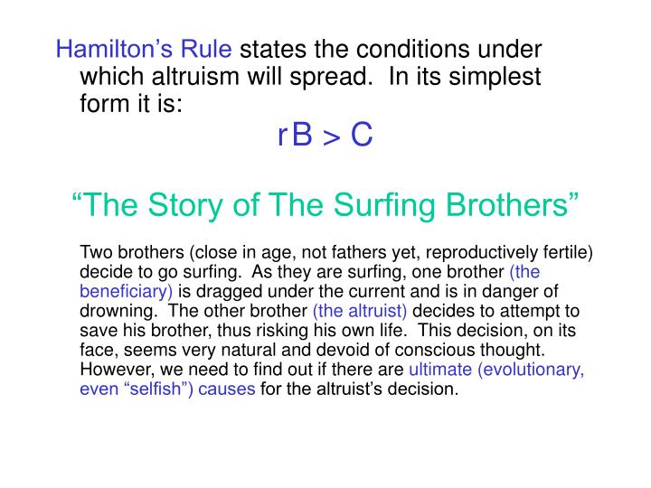 PPT - Hamilton’s Rule – Kin Selection PowerPoint Presentation - ID:1824400