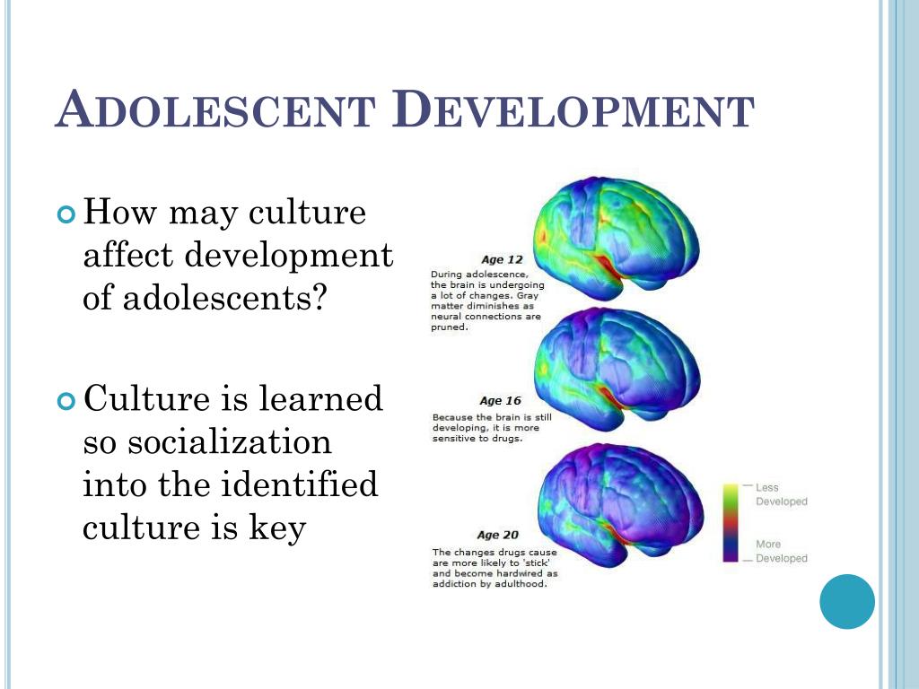 PPT - Drug Abuse in African American and Hispanic Adolescents: Culture ...