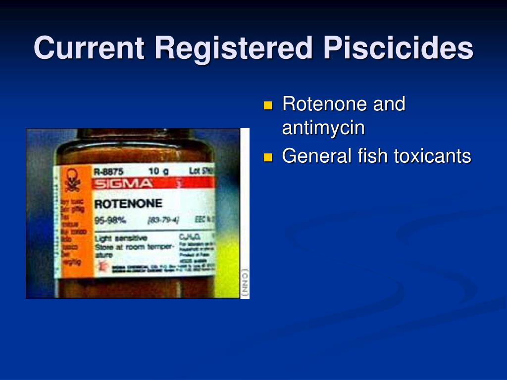 PPT - Management of Undesirable Fish Species Chapter 15 PowerPoint ...