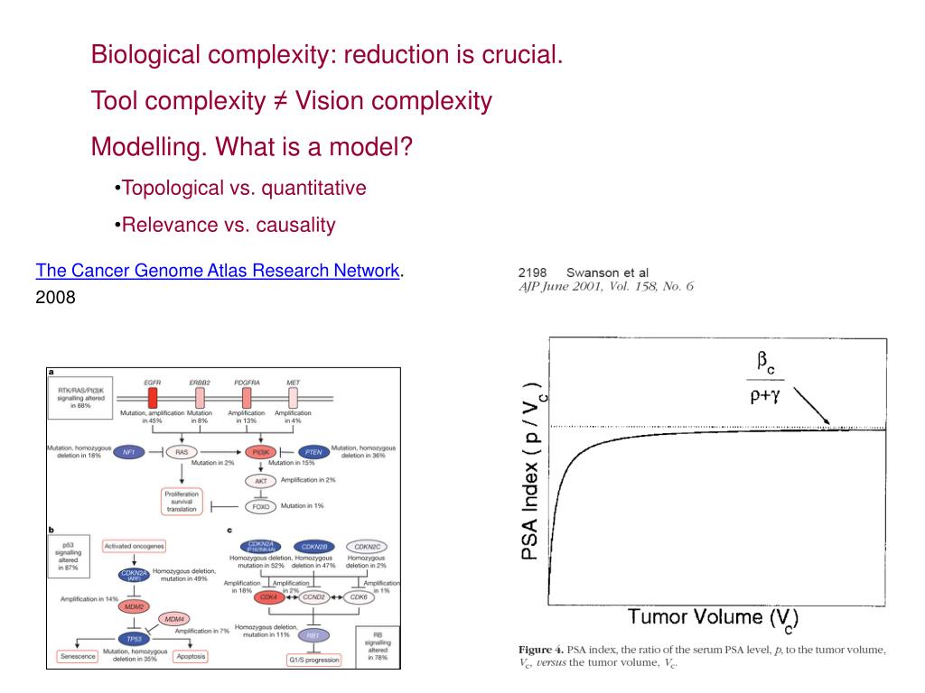 PPT - Systems biology in cancer research PowerPoint Presentation, free ...