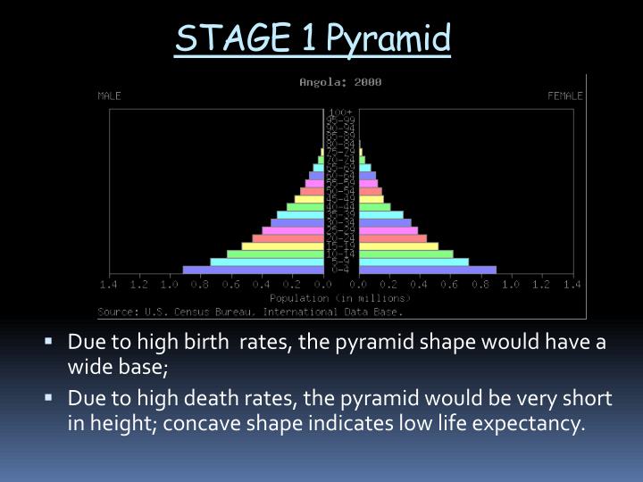 PPT - Population Theories and Models PowerPoint Presentation - ID:1825261