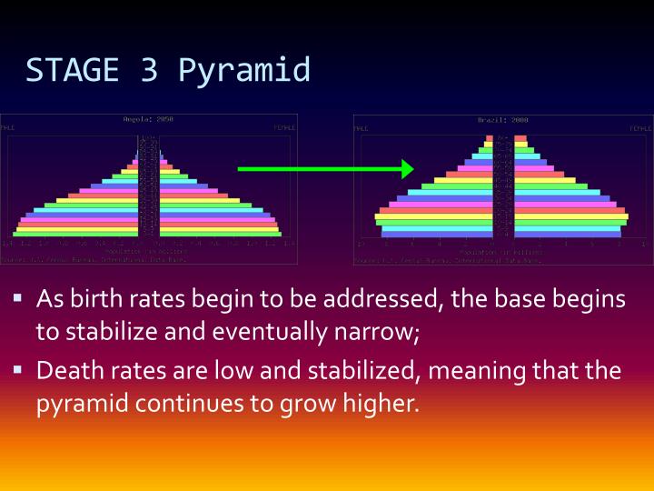 PPT - Population Theories and Models PowerPoint Presentation - ID:1825261