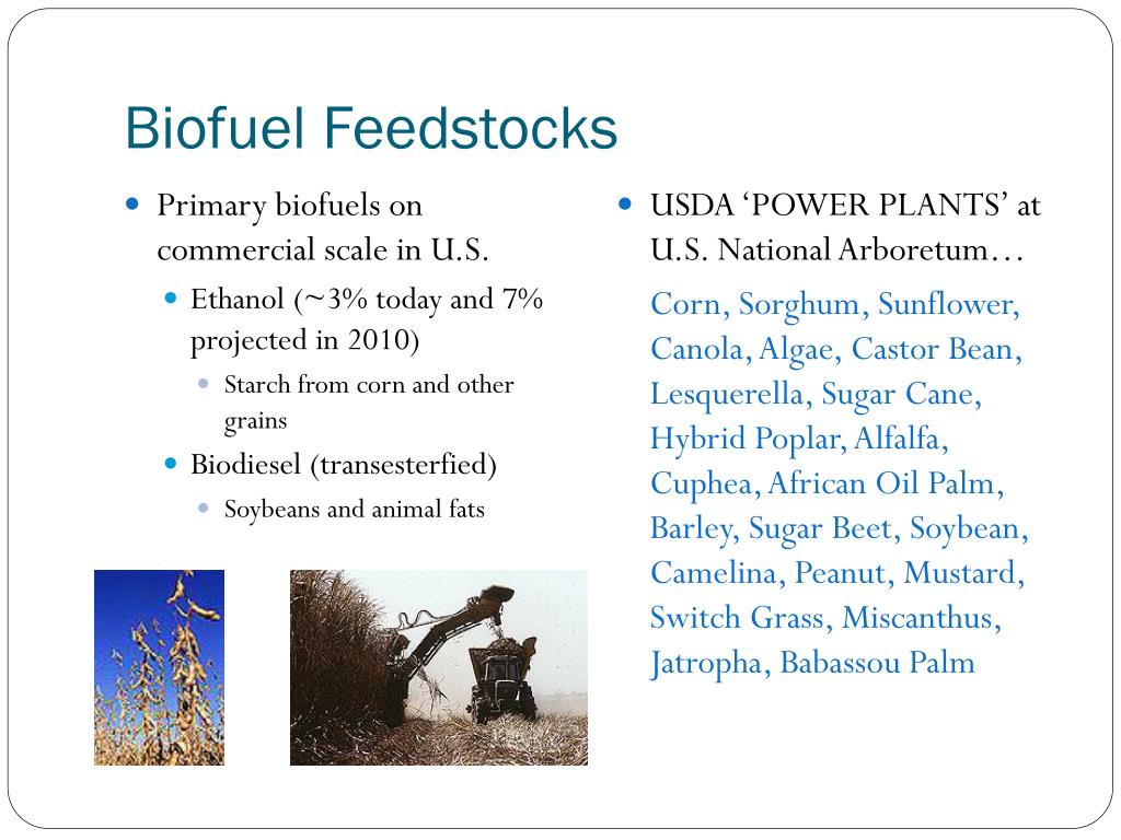 PPT - Confessions of an Agriculturist : a biofuel opportunity ...
