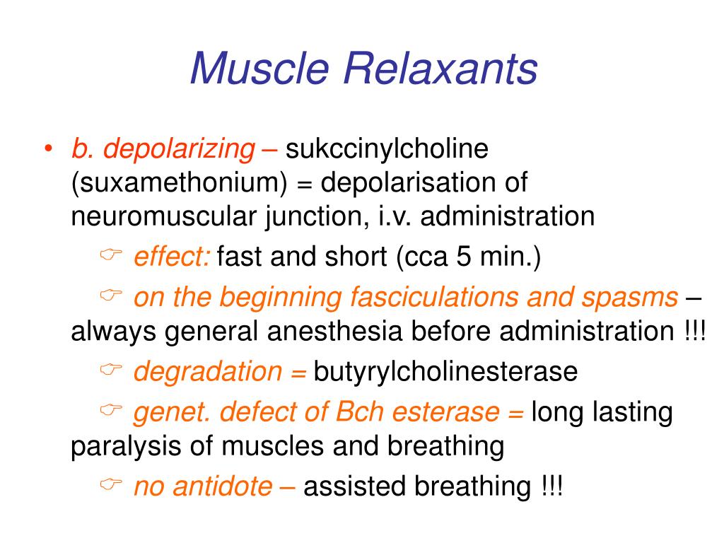 PPT - Chol i nerg ic Transmission, Muscle Relaxants PowerPoint ...