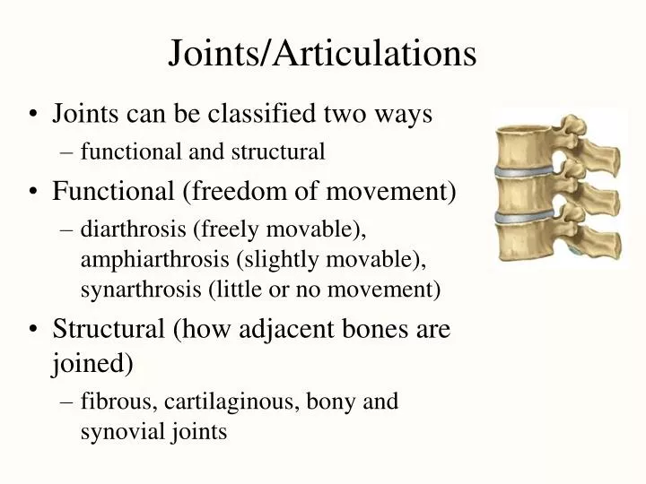 PPT - Joints/Articulations PowerPoint Presentation, free download - ID ...