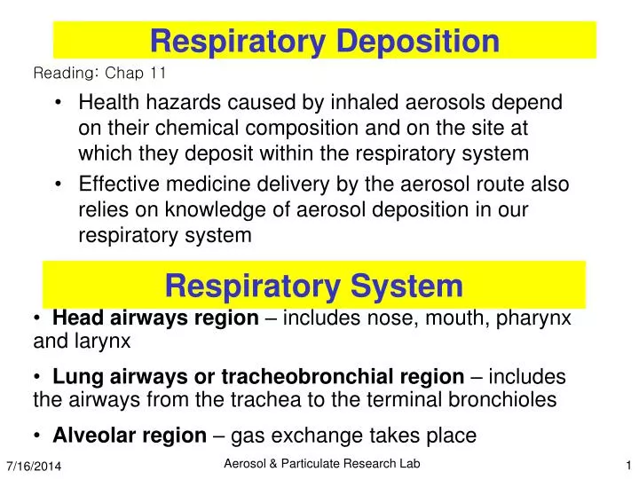 PPT - Respiratory Deposition PowerPoint Presentation, free download ...