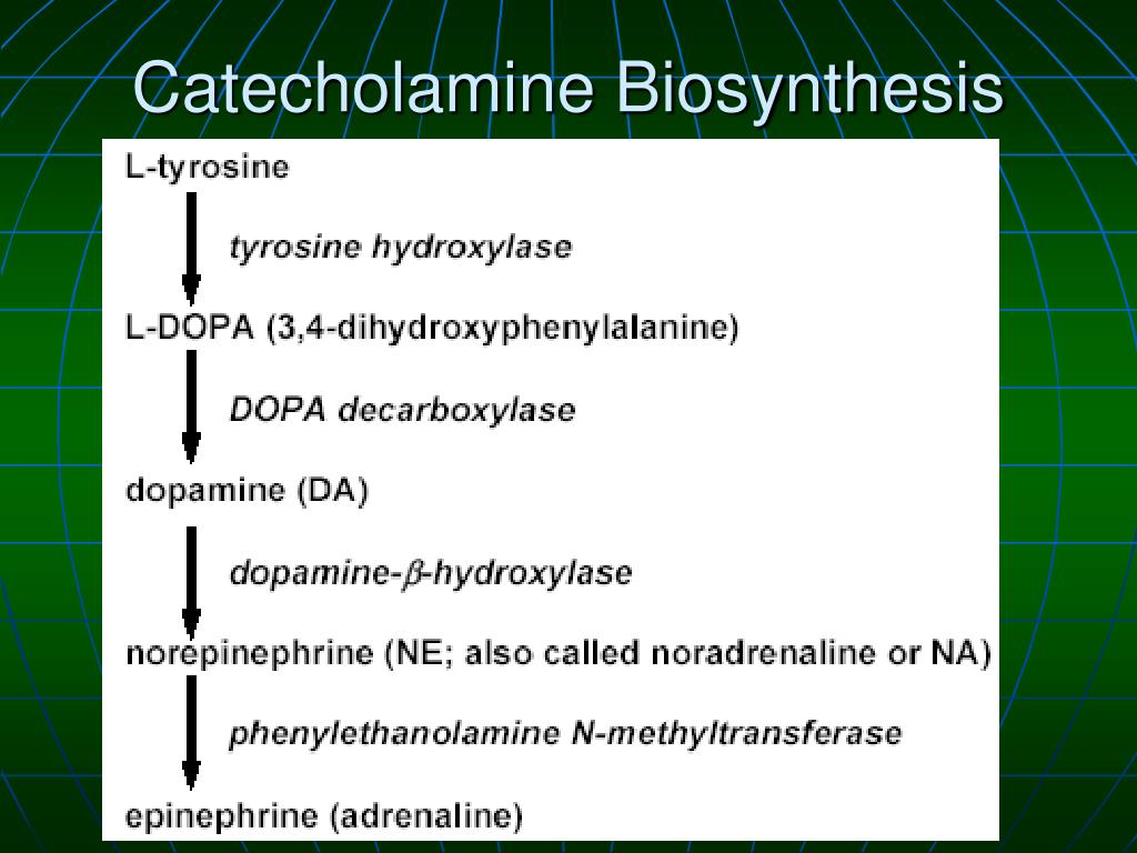 PPT - Biochemistry and Biological Psychiatry PowerPoint Presentation ...