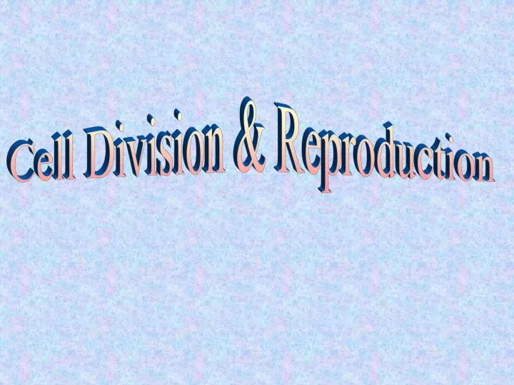 PPT - Cell Division & Reproduction PowerPoint Presentation, free download - ID:1826943