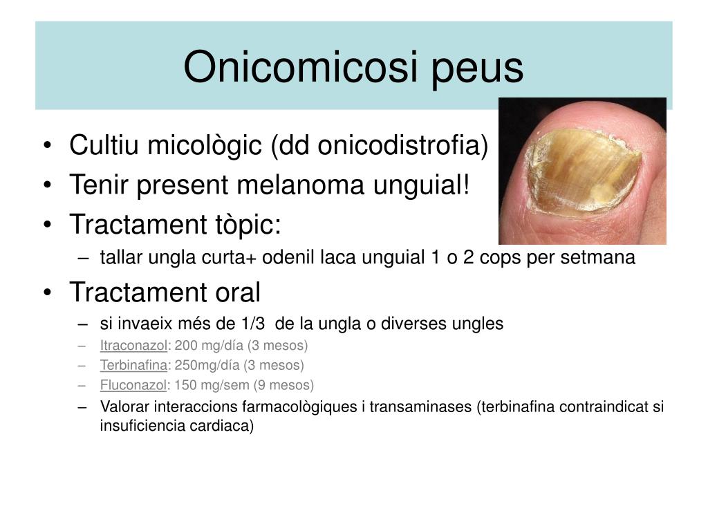 PPT - Dermatologia a atenció primària PowerPoint Presentation, free ...