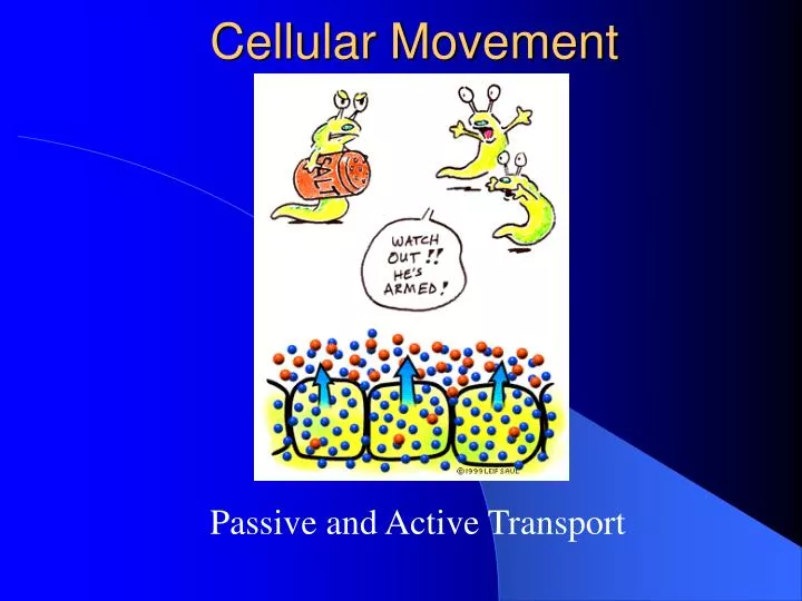 PPT - Cellular Movement PowerPoint Presentation, free download - ID:1827880