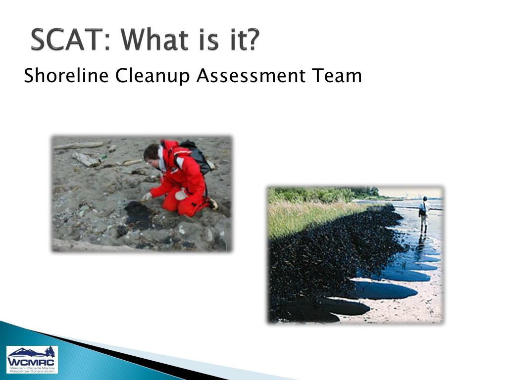 PPT - Oil Spill Shoreline Clean-up PowerPoint Presentation, free ...