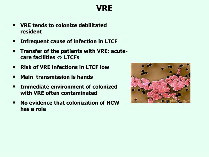 PPT - Elderly Patient: Common Infections PowerPoint Presentation - ID ...