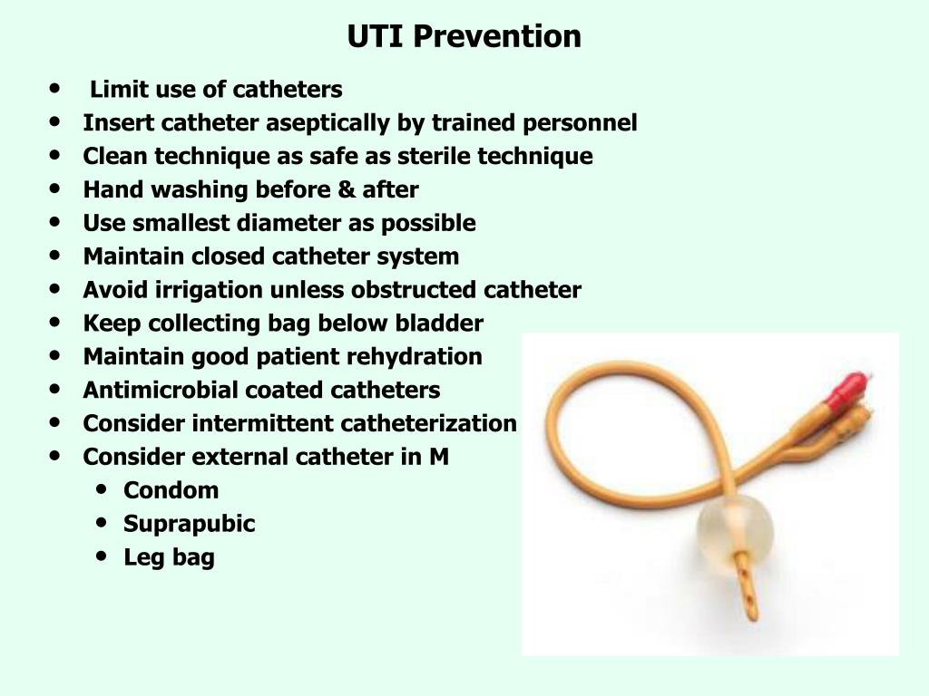 PPT - Elderly Patient: Common Infections PowerPoint Presentation, free ...