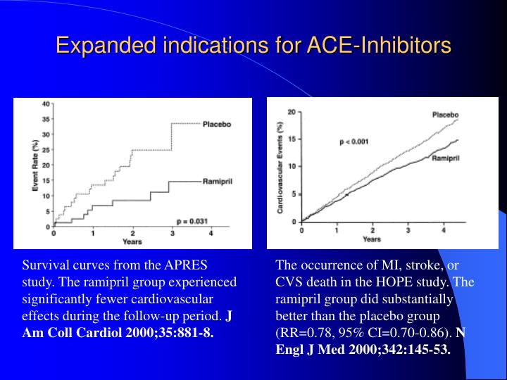 PPT - ACE Inhibitors and Coronary Circulation PowerPoint Presentation ...