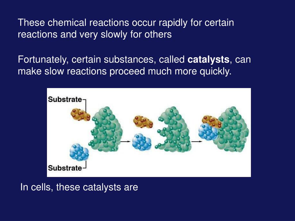 PPT - Understanding Human Physiology: Atoms, Molecules, and Reactions ...