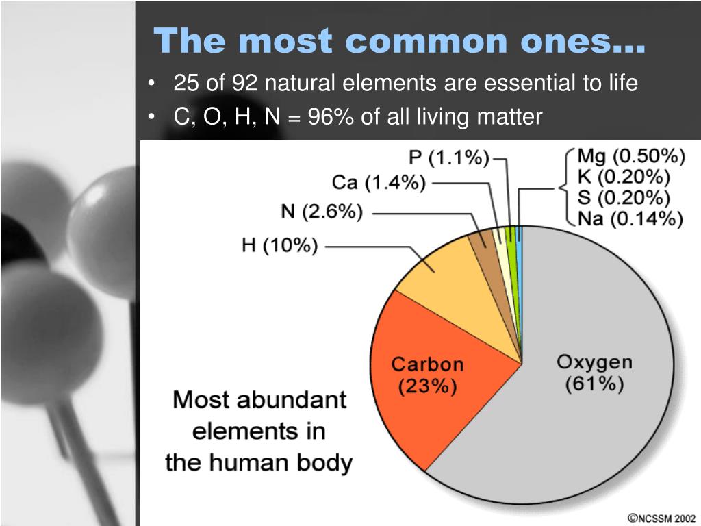PPT - Chemistry of Life PowerPoint Presentation, free download - ID:1830740