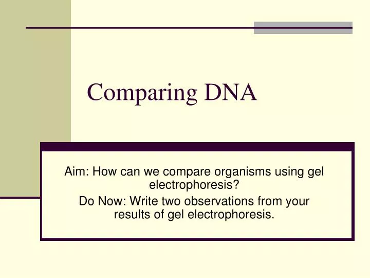PPT - Comparing DNA PowerPoint Presentation, free download - ID:1831463