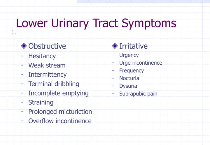 PPT - Approach to a man with Lower Urinary Tract Symptoms PowerPoint ...