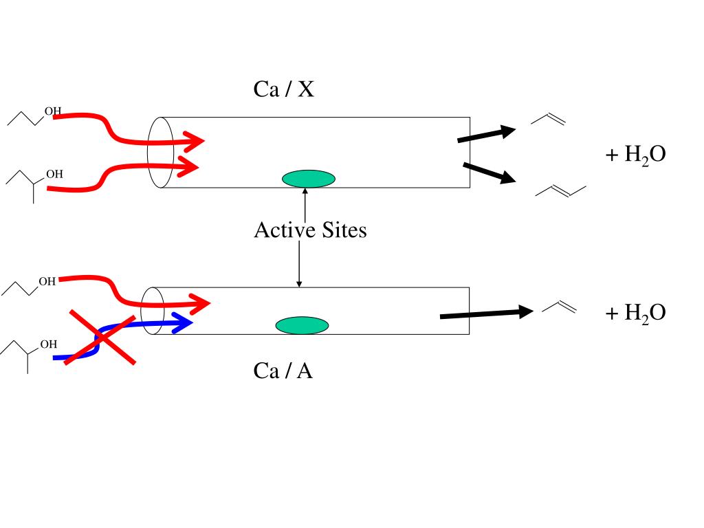 PPT - Zeolites Summer School in Energy and Environmental Catalysis ...