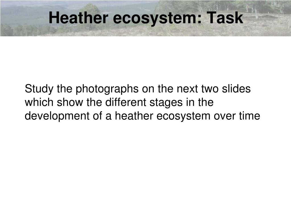 PPT - Higher Geography Physical Environments Biosphere Vegetation ...