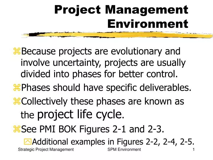 PPT - Project Management Environment PowerPoint Presentation, free ...