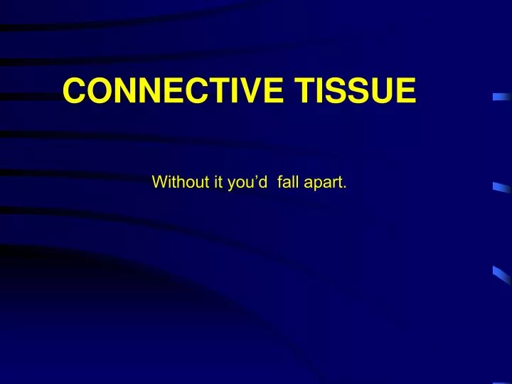 PPT - CONNECTIVE TISSUE PowerPoint Presentation, free download - ID:1834174