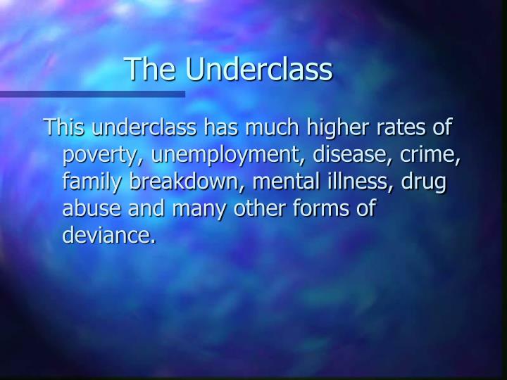 PPT - THE UNDERCLASS PowerPoint Presentation - ID:1834439
