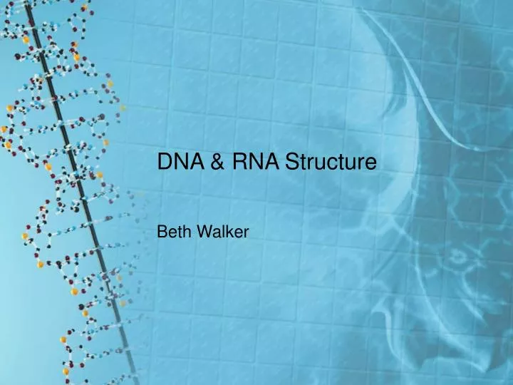 PPT - DNA & RNA Structure PowerPoint Presentation, free download - ID ...