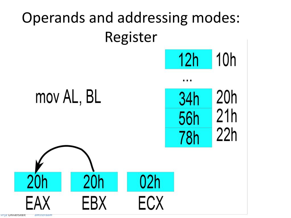PPT - Introduction to X86 assembly b y Istvan Haller PowerPoint ...