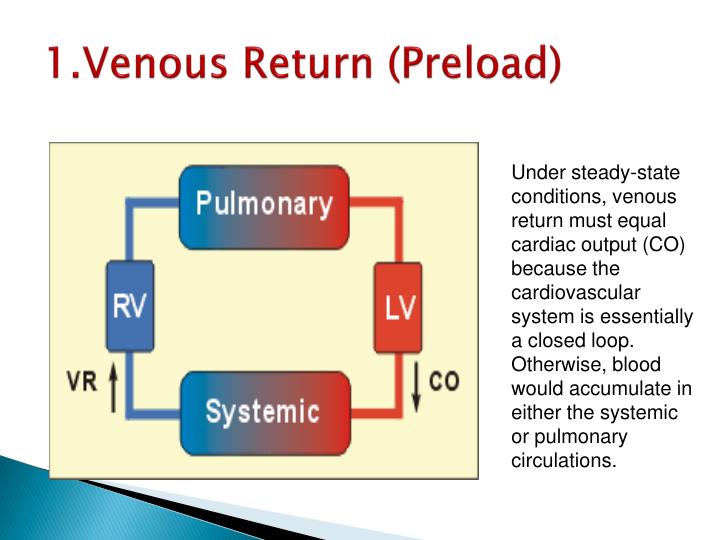 PPT - CARDIAC OUTPUT and Venous Return Dr. Eman EL Eter Associate Prof ...