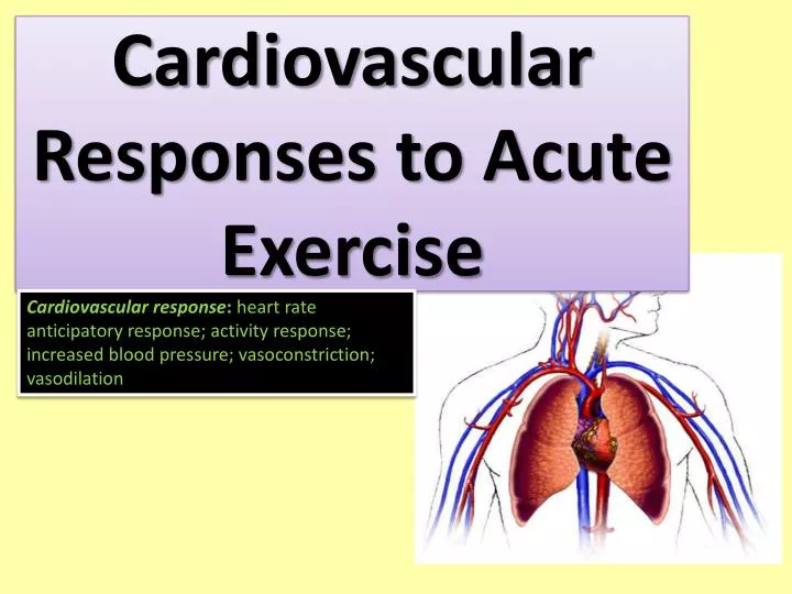 PPT - Cardiovascular Responses to Acute Exercise PowerPoint ...