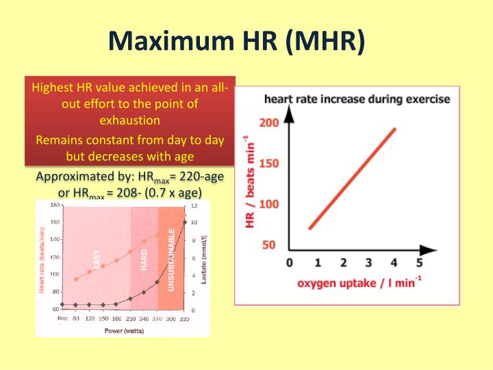 PPT - Cardiovascular Responses to Acute Exercise PowerPoint ...