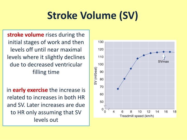 PPT - Cardiovascular Responses to Acute Exercise PowerPoint ...